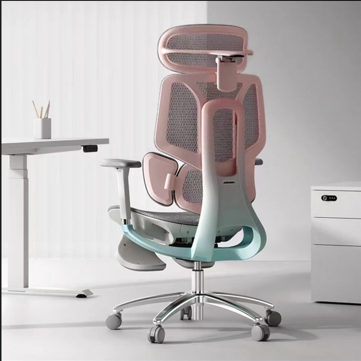 HBADA E3 Pro Plus Ergonomic Office Chair (cherry blossoms) – KZCHAIR