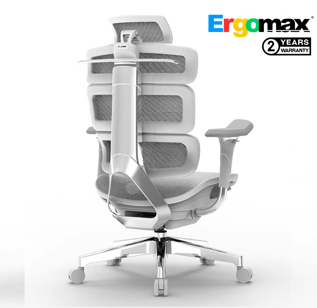Ergomax Evolution2 Plus ergonomic office chair – KZCHAIR